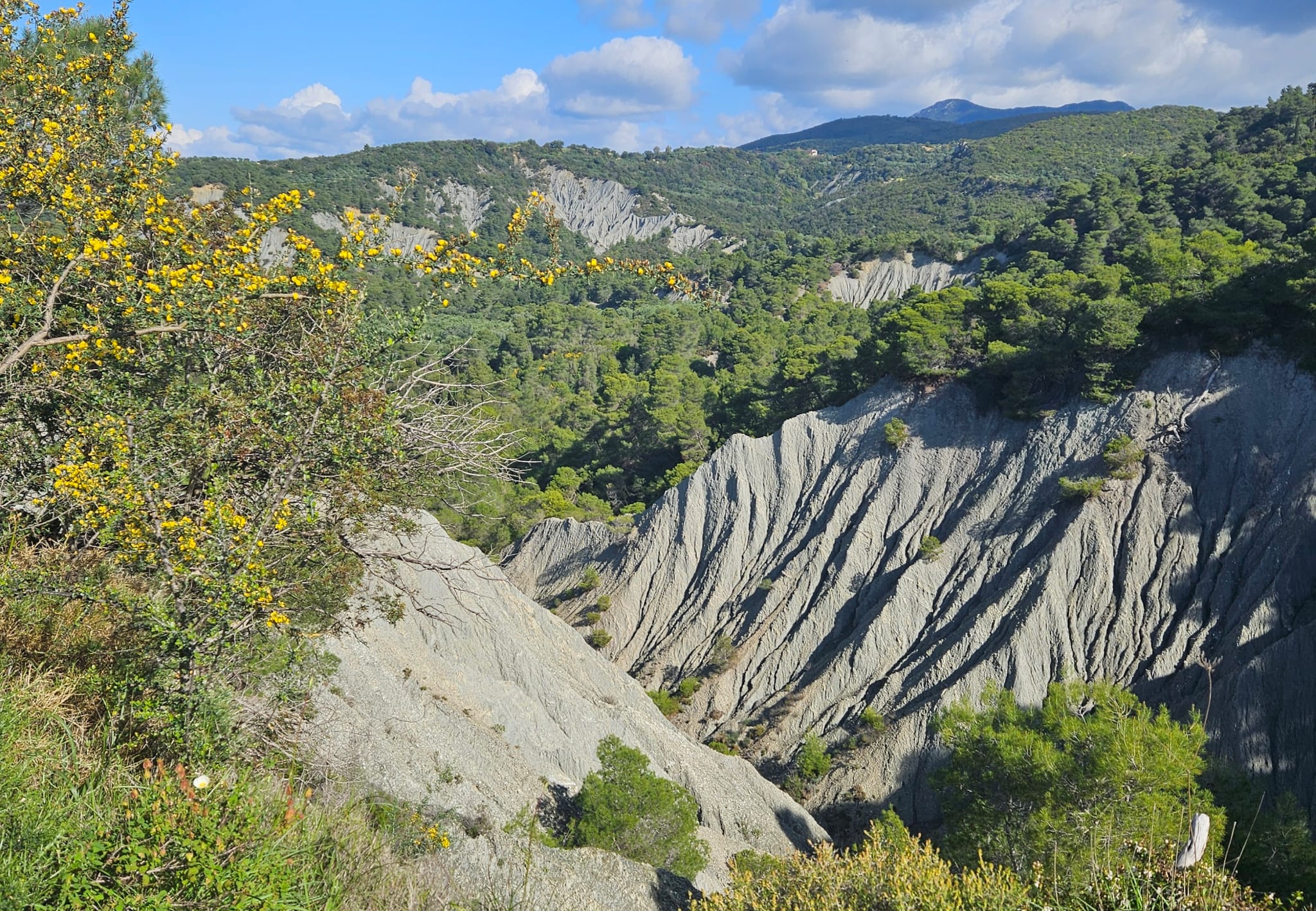 Freewalkers.eu - 26-04-2025-Militsa