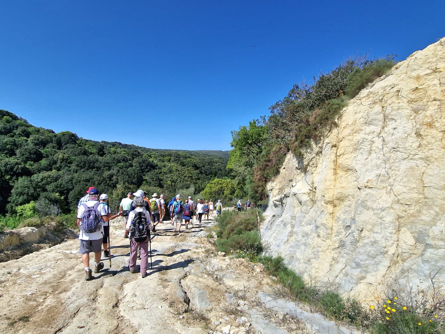 06-05-2023 Militsa - Vlaseika - Anatoliki Militsa - Militsa