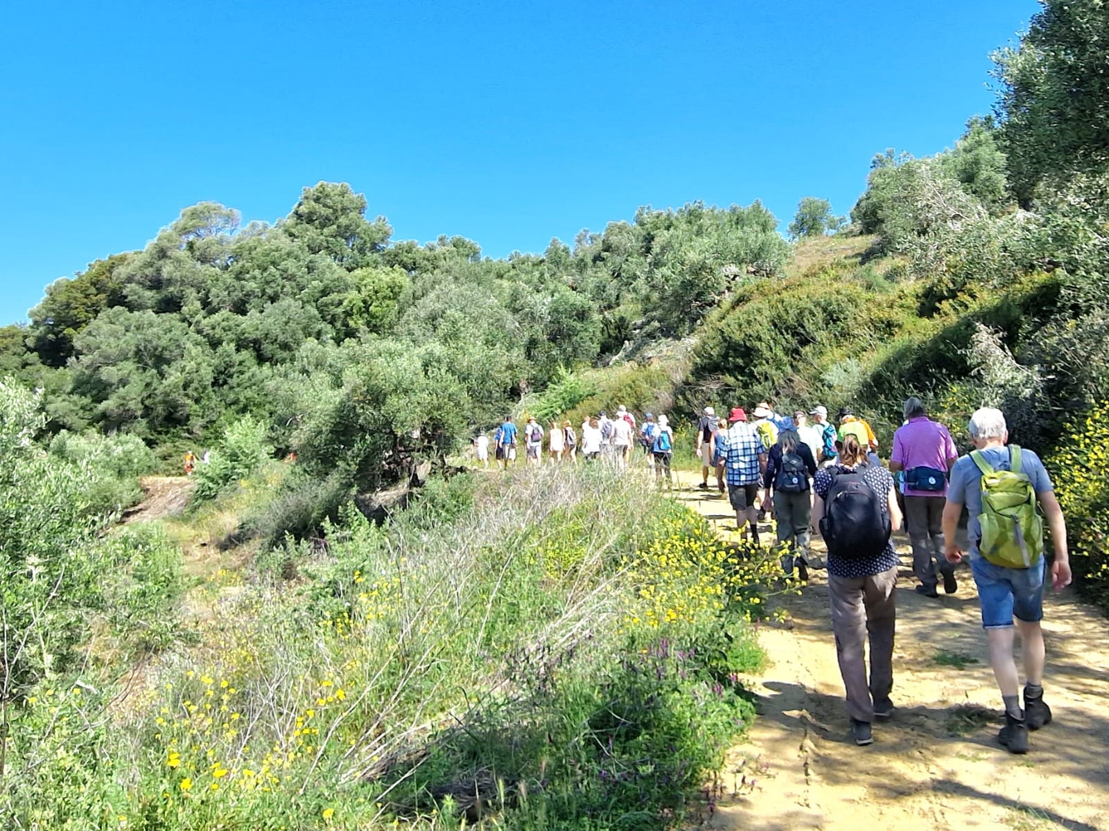 06-05-2023 Militsa - Vlaseika - Anatoliki Militsa - Militsa